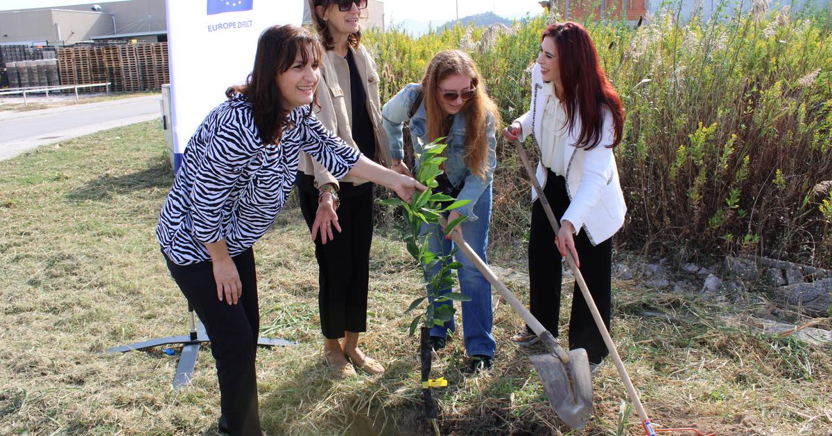 Dani mandarina: U Opuzenu zasađene sadnice raznih sorti agruma | lokalni.hr